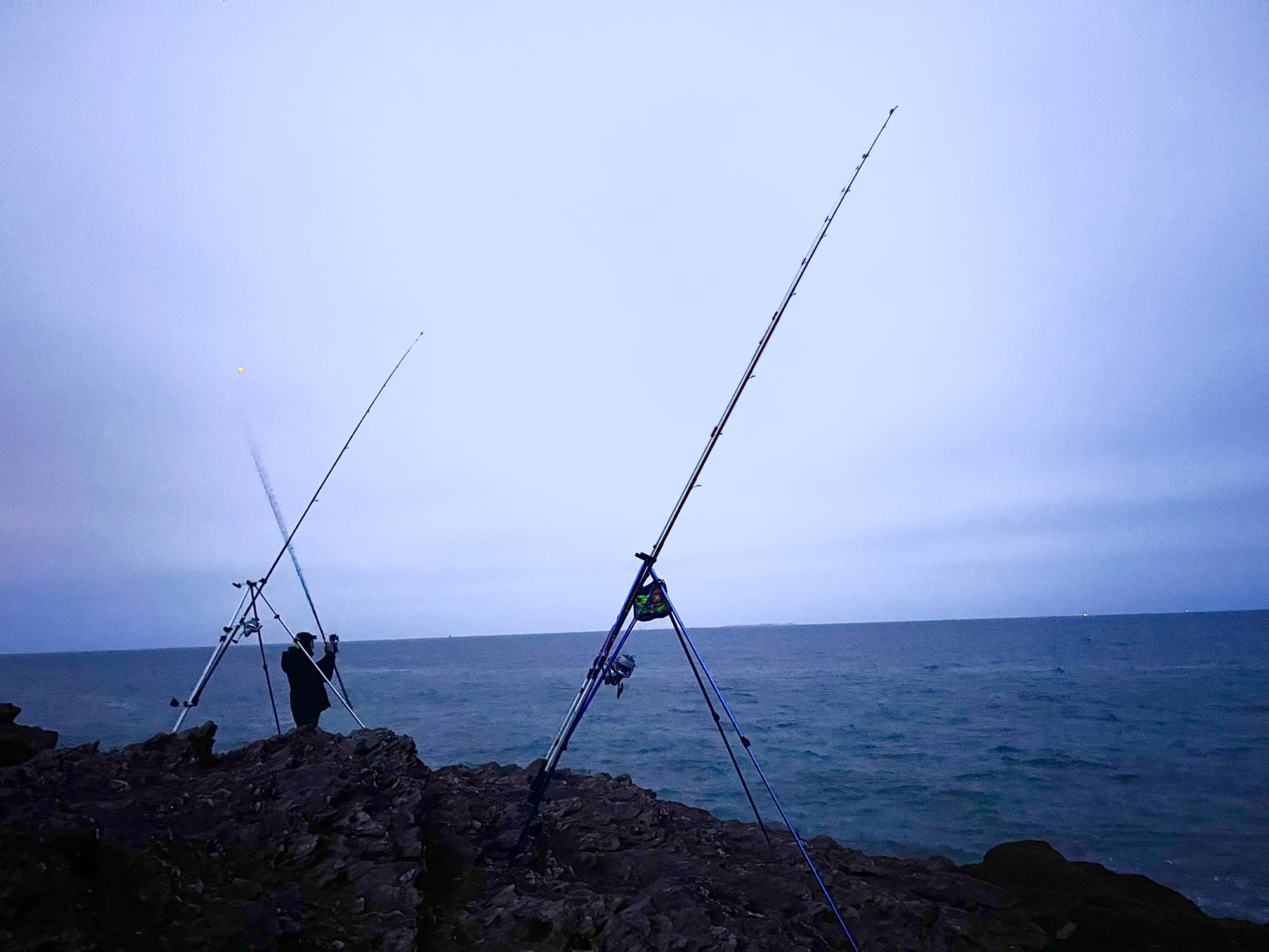 Pêche de la daurade royale en surfcasting sur la côte atlantique : En ...
